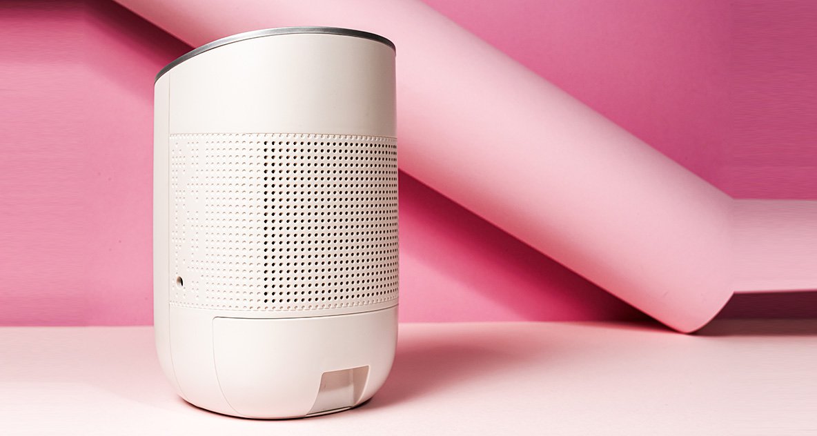 6 Best Dehumidifiers for Your Home of 2024 - PropertyNest