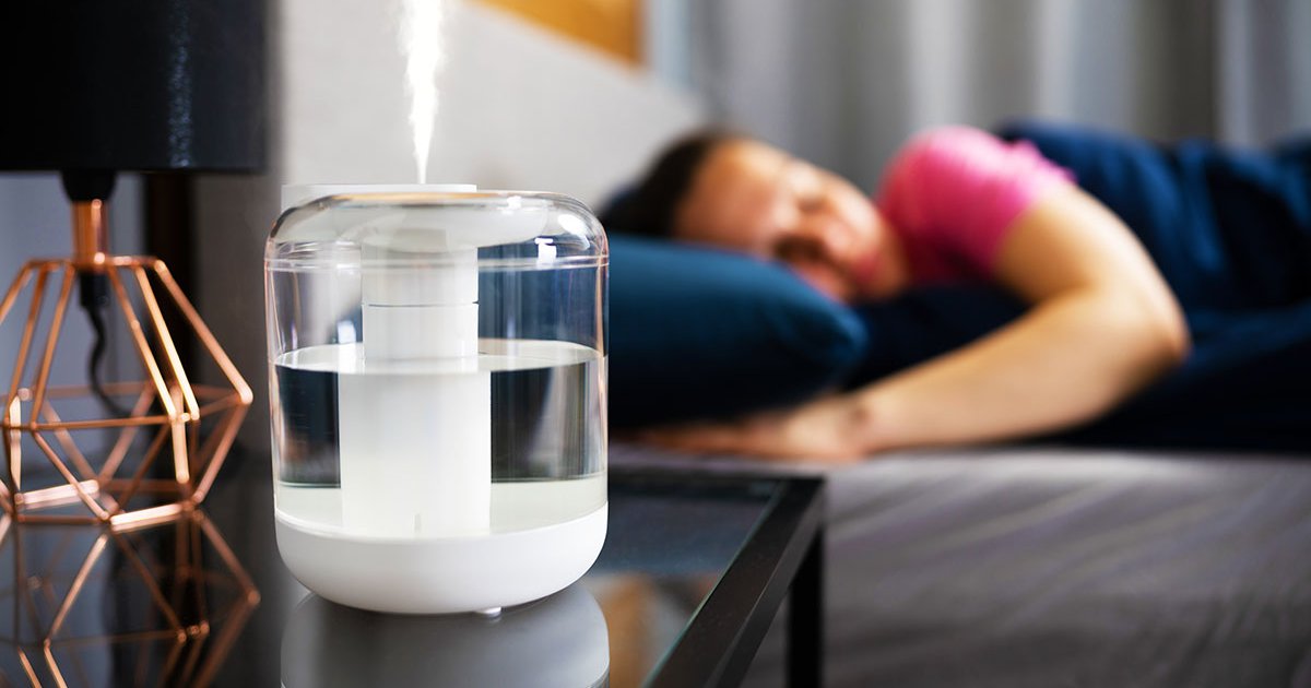7 Best Humidifiers For Your Home of 2024 - PropertyNest