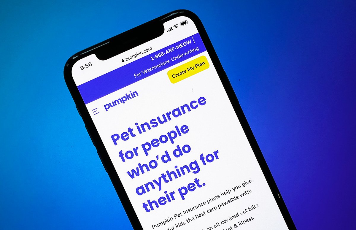 Best Affordable Pet Insurance Companies of 2025